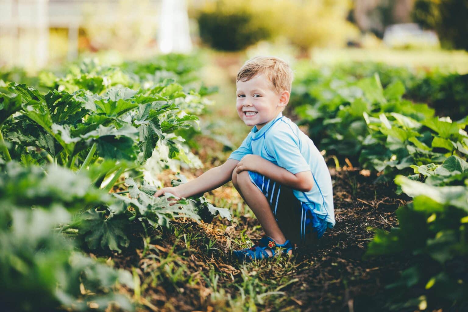 New Homes Fulshear TX - Jordan Ranch Master-Planned Community