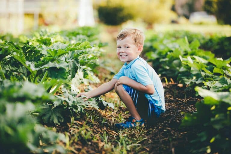 New Homes Fulshear TX - Jordan Ranch Master-Planned Community